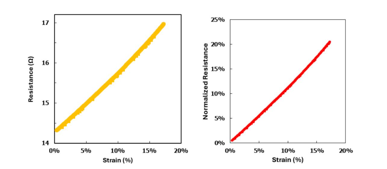 Strain Sensors | Liquid Wire